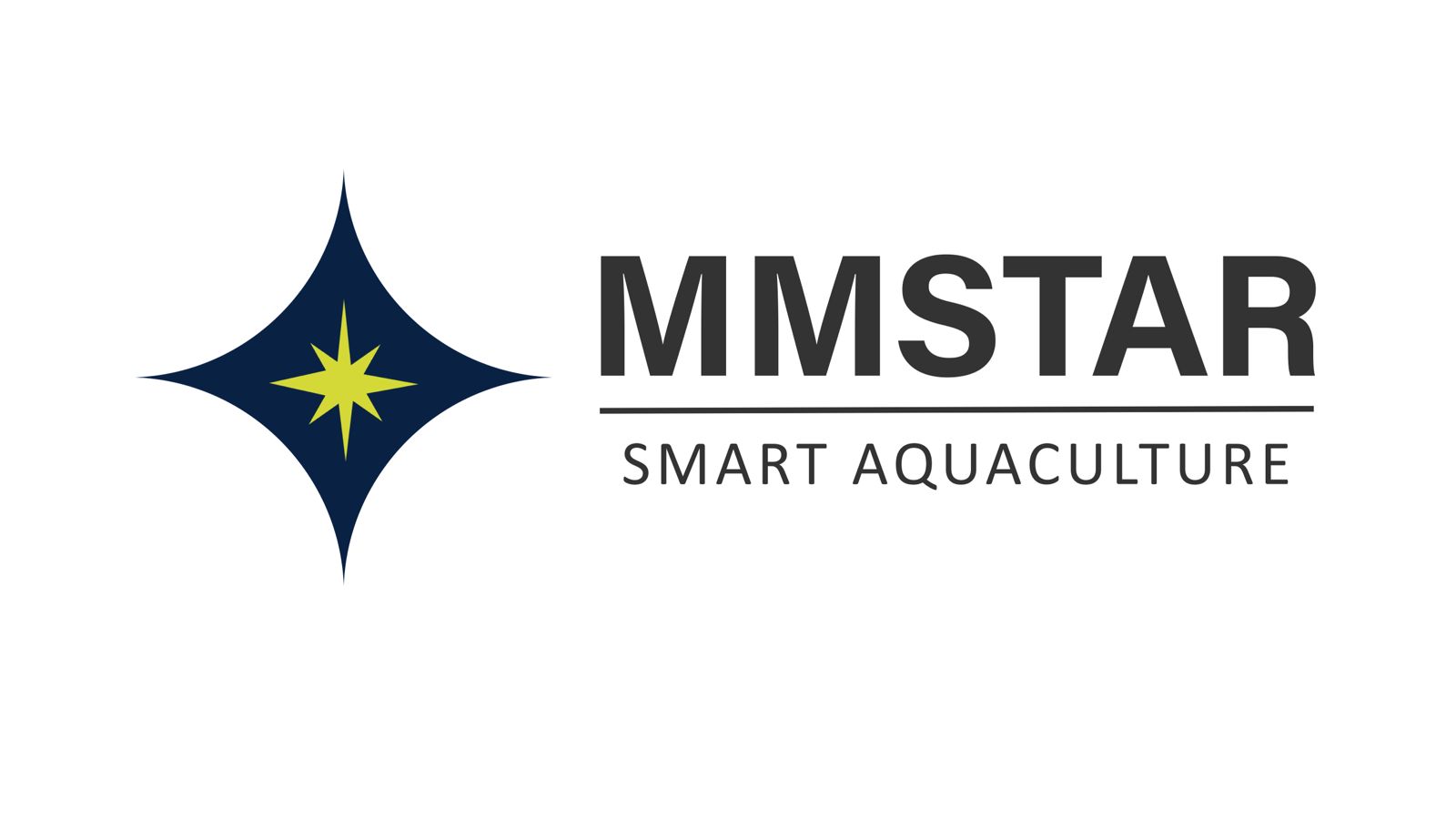 MMSTAR TECHNOLOGIES LIMITED