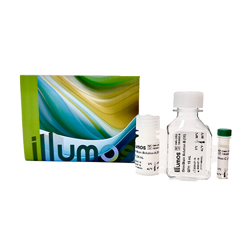 illumos ltd